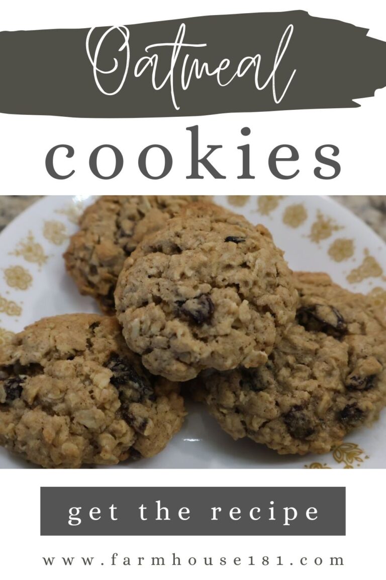 Famous Quaker Oats Oatmeal Cookie Recipe, Let's Make It! - Farmhouse 181